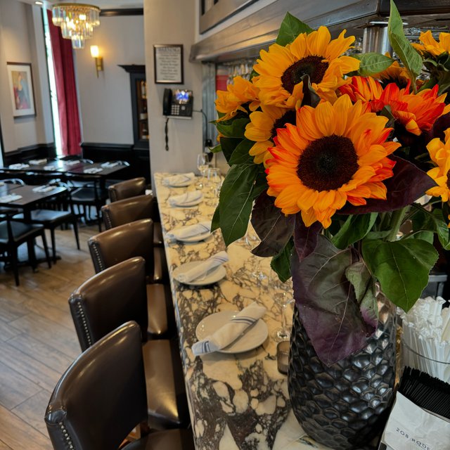 208 Rodeo | Beverly Hills Restaurant | Rodeo Drive